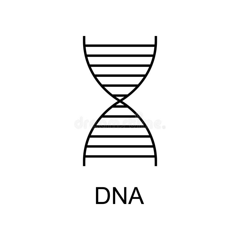 DNA Line Icon. Element of Medicine Icon with Name for Mobile Concept ...