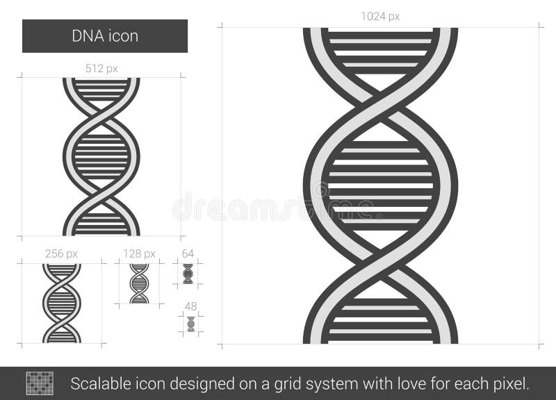 DNA line icon. stock vector. Illustration of curve, evolution - 80691547