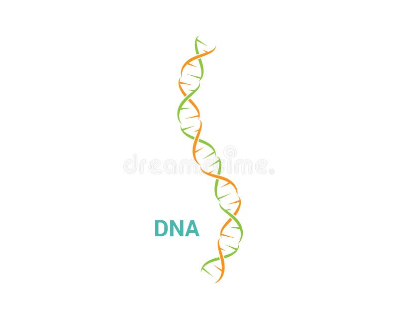 DNA logo vector stock vector. Illustration of research - 121373850