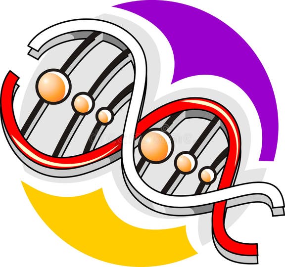 Protein Model Dna Stock Illustrations – 4,491 Protein Model Dna Stock ...
