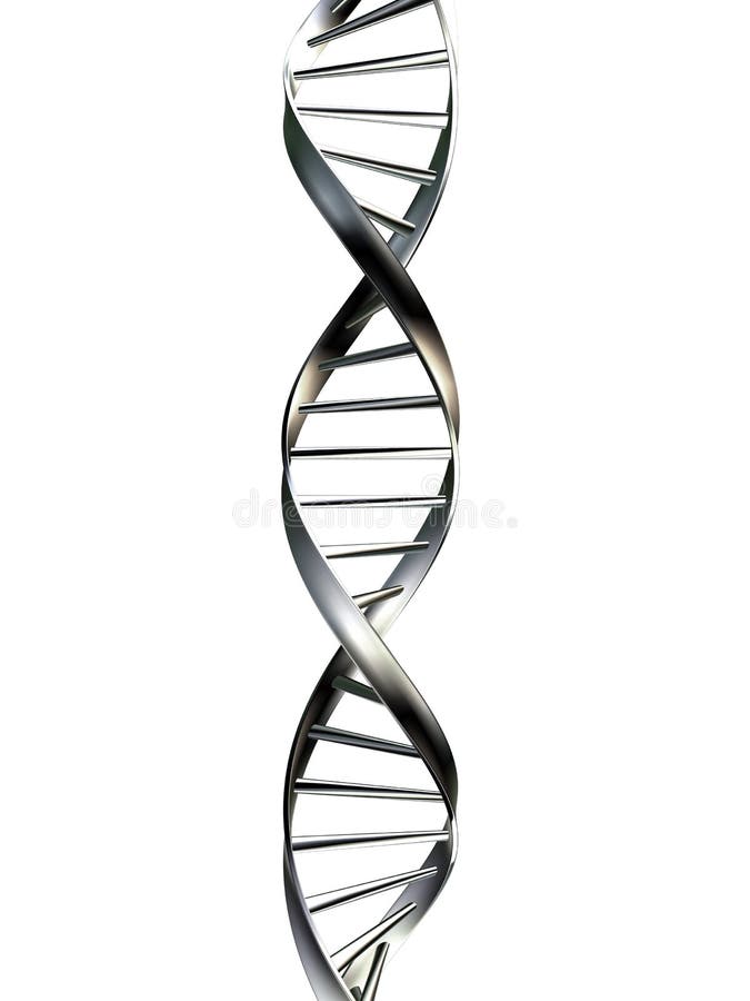 Dna model stock illustration. Illustration of drug, cancer - 2896857