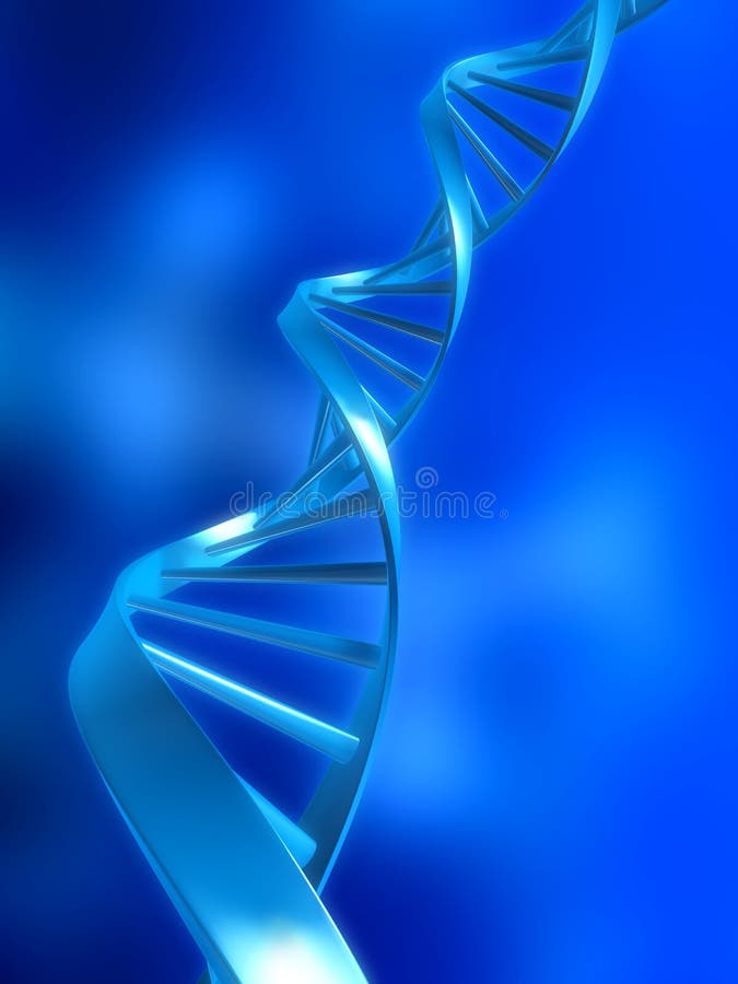 Dna model stock illustration. Illustration of genomes - 2896860