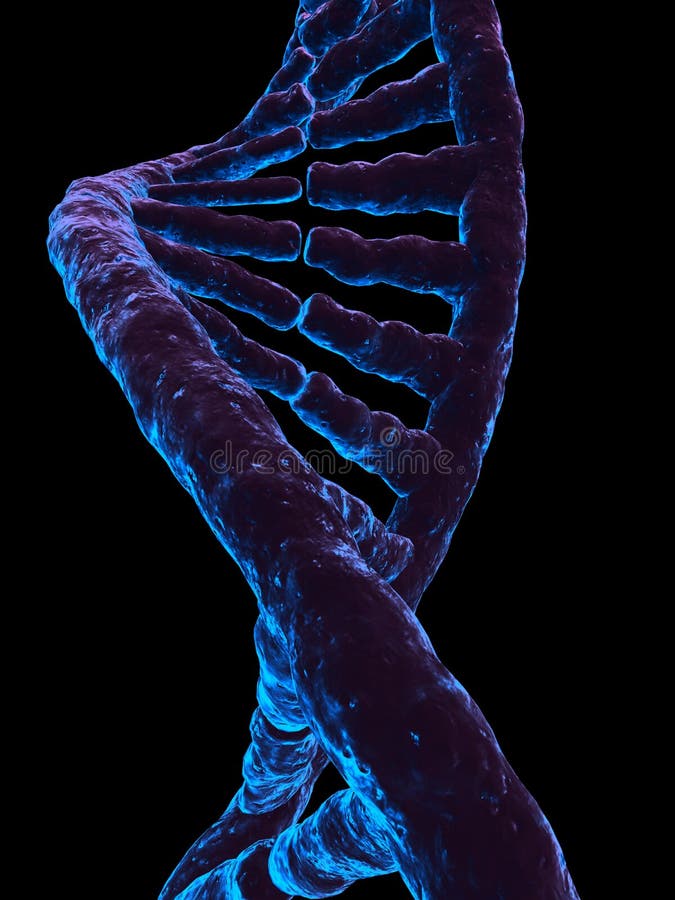 Dna model stock illustration. Illustration of genomes - 2934428