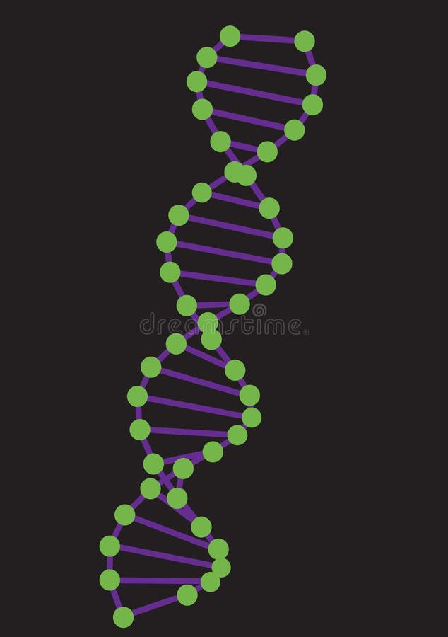 DNA Model Picture. Image: 9403976