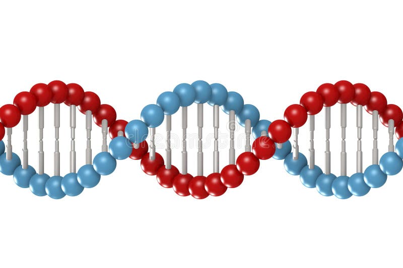 DNA Model with Blue and Red Elements Stock Illustration - Illustration ...