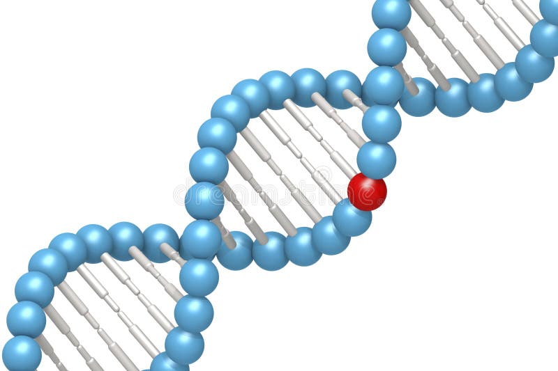 DNA Model with Blue and Red Elements Stock Illustration - Illustration ...