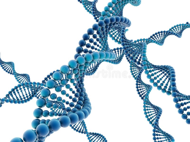 DNA strand model stock illustration. Illustration of biology - 34242738