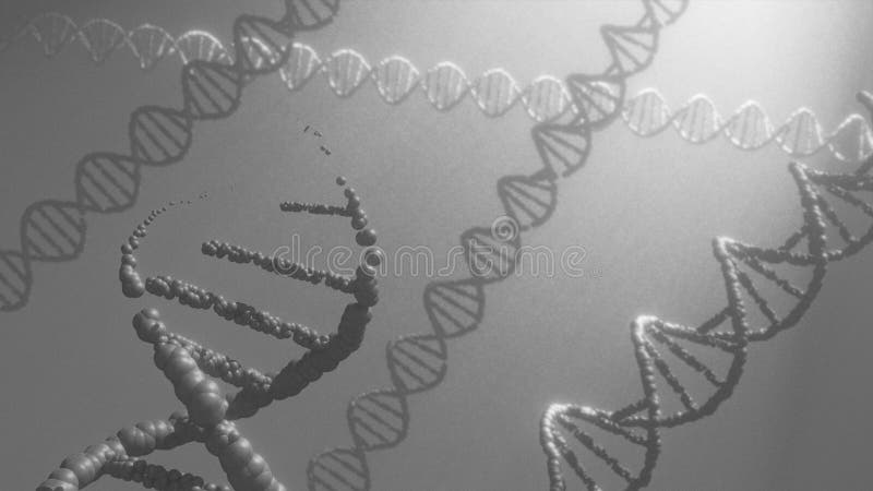 DNA Model Double Helix Deoxyribonucleic Acid 3d Illustration Stock ...