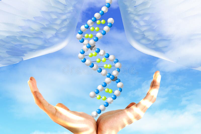 DNA model in hands stock illustration. Illustration of polymer - 13759981