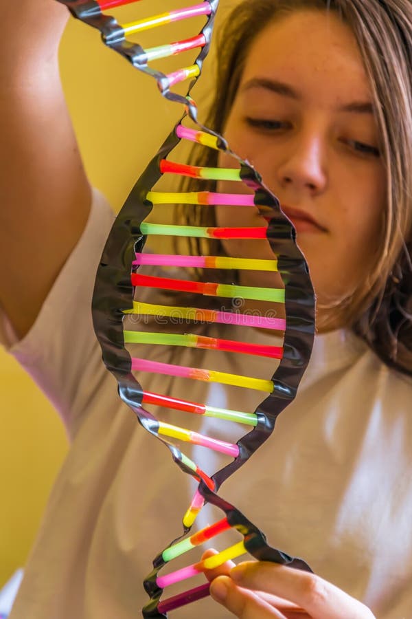 DNA Model Made from Plastic Straws Stock Photo - Image of imagination ...
