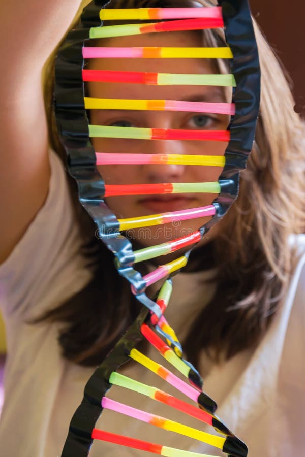 DNA Model Made from Plastic Straws Stock Image - Image of imagination ...