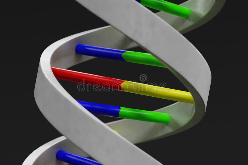 DNA model stock illustration. Illustration of genetic - 114786786