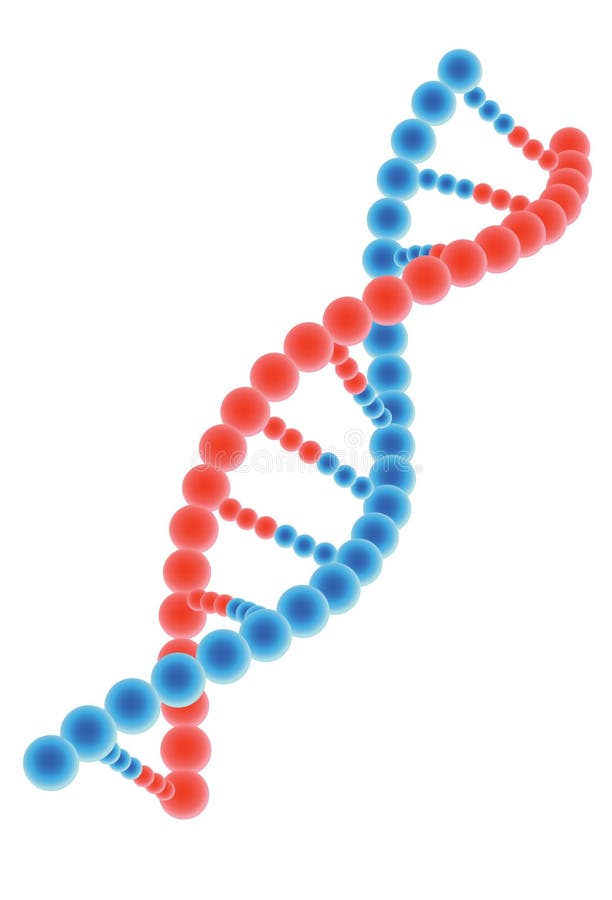 Double Helix DNA Strand stock vector. Illustration of deoxyribonucleic ...