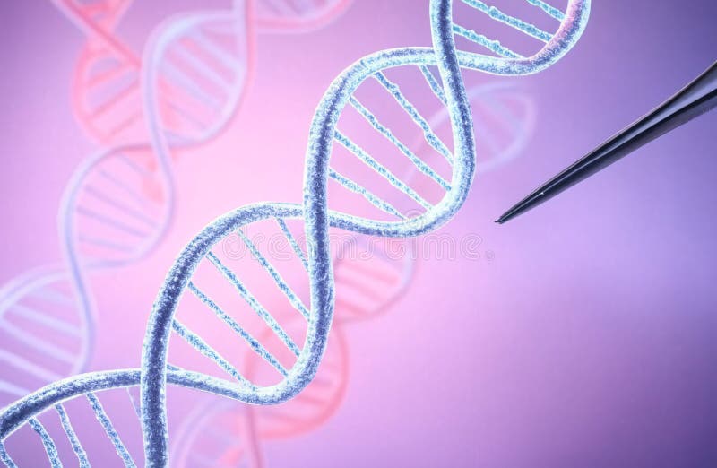 DNA Modification and CRISPR Research Stock Illustration - Illustration ...