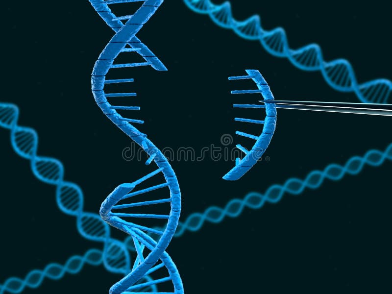 DNA modification stock illustration. Illustration of deoxyribonucleic ...