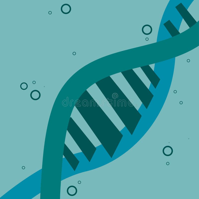 DNA molecula design stock vector. Illustration of gene - 115464514