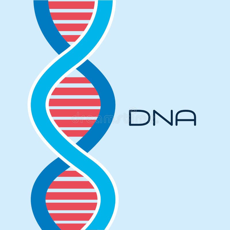 DNA molecula design stock vector. Illustration of design - 115464842