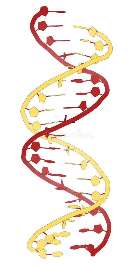 DNA Molecular Structure. Main Carrier of Genetic Information in All ...