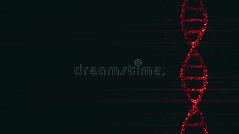 Moving Red DNA Molecule Model, Blank Space for Custom Content. Loopable ...