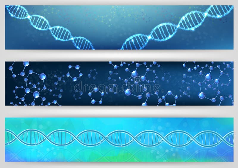 DNA and Molecule Banner Concept Stock Vector - Illustration of body ...