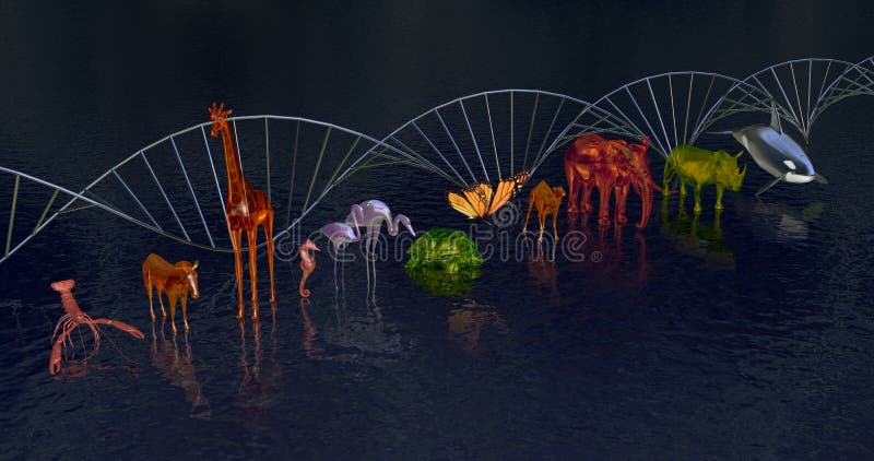 DNA Molecule Strand. Biodiversity, Variety of Animals in Water. View 4 ...