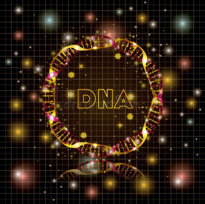 Dna Molecule Circular Golden Structure Stock Vector - Illustration of ...