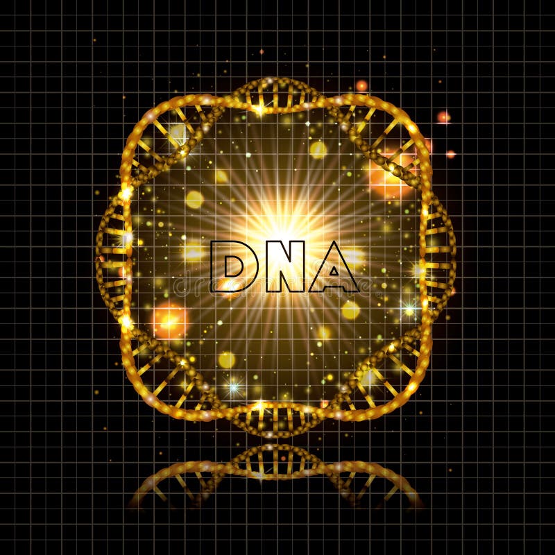 Dna Molecule Circular Golden Structure Stock Vector - Illustration of ...