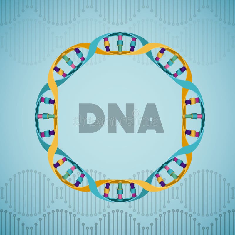 Dna Molecule Circular Structure Stock Vector - Illustration of formula ...