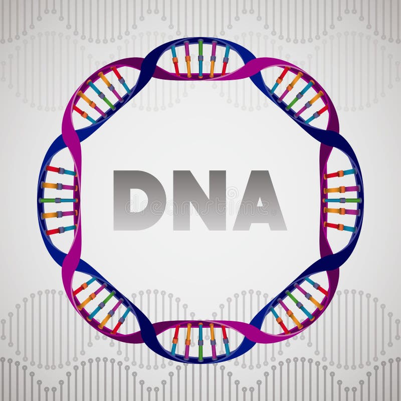 Dna Molecule Circular Structure Stock Vector - Illustration of ...