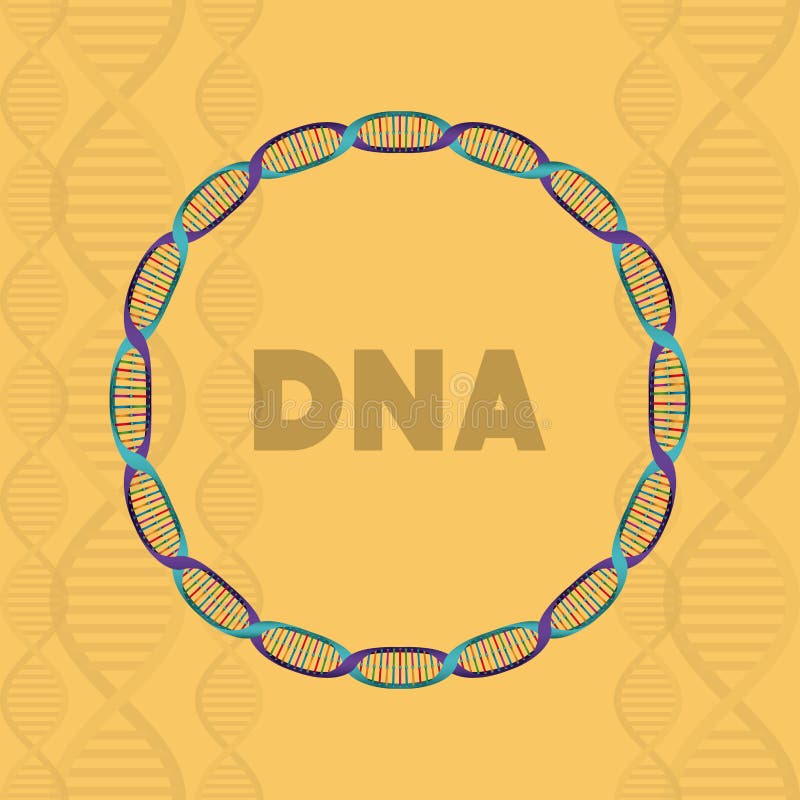 Dna Molecule Circular Structure Stock Vector - Illustration of chemical ...