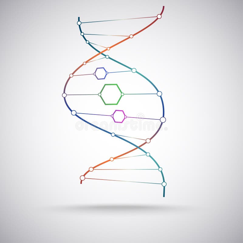 The DNA molecule color stock vector. Illustration of microbiology ...