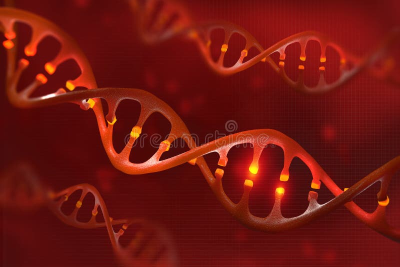 DNA Molecule. Genetic Modification Stock Illustration - Illustration of ...