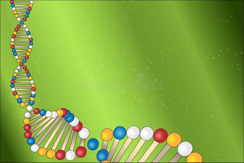DNA Molecule on Green Background, Vector Illustration Stock Vector ...