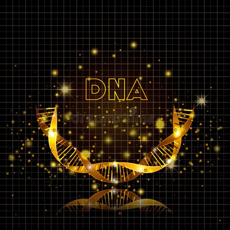 Dna Molecule Half Circle Golden Structure Stock Vector - Illustration ...