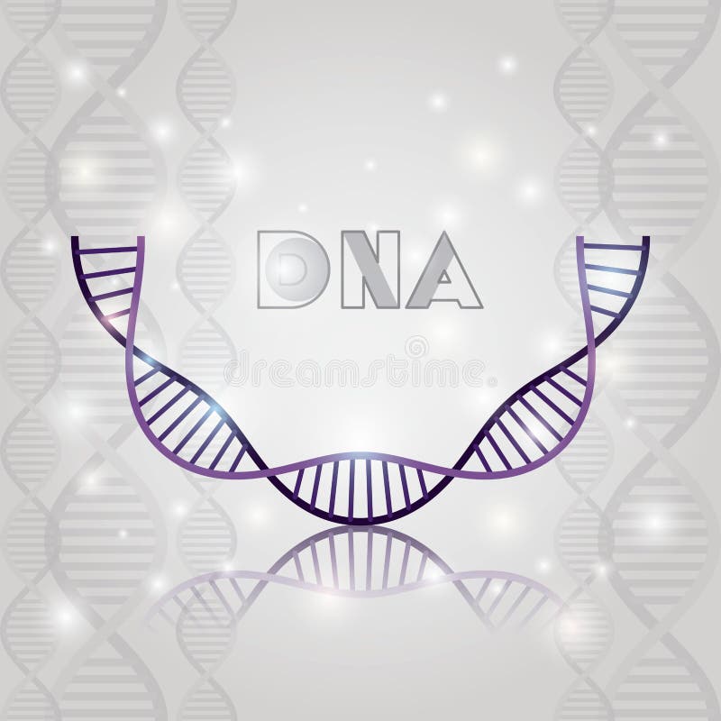 Dna Molecule Half Circle Structure Pattern Stock Vector - Illustration ...