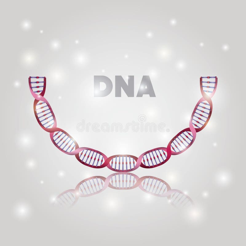 Dna Circle Structure Chromosome Design Stock Vector - Illustration of ...