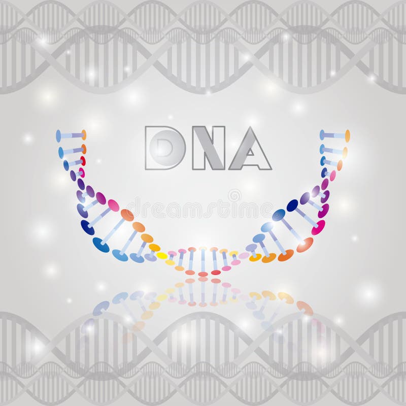 Dna Circle Structure Chromosome Design Stock Vector - Illustration of ...