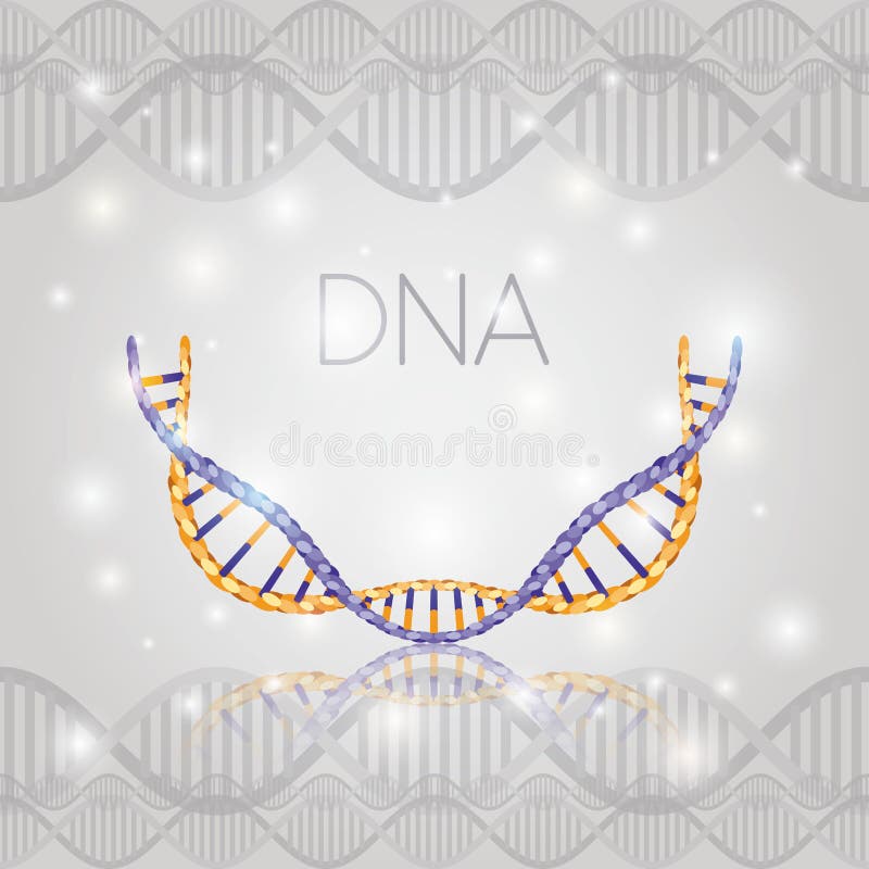 Dna Molecule Half Circle Structure Pattern Stock Vector - Illustration ...