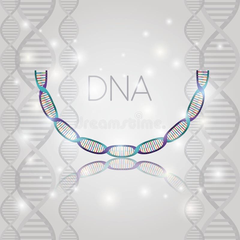 Dna Circle Structure Chromosome Design Stock Vector - Illustration of ...