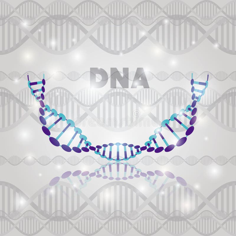 Dna Molecule Half Circle Structure Pattern Stock Vector - Illustration ...