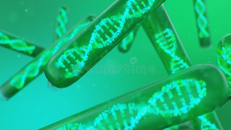 DNA Molecule, Its Structure. Concept Human Genome. DNA Molecule with ...
