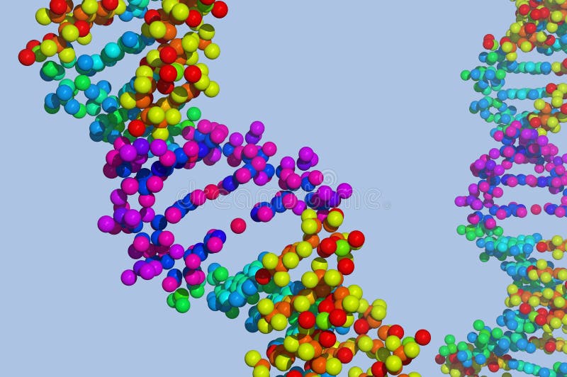 DNA molecule model (002) stock illustration. Illustration of chain ...