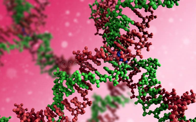 DNA Molecule Model stock illustration. Illustration of chemistry ...