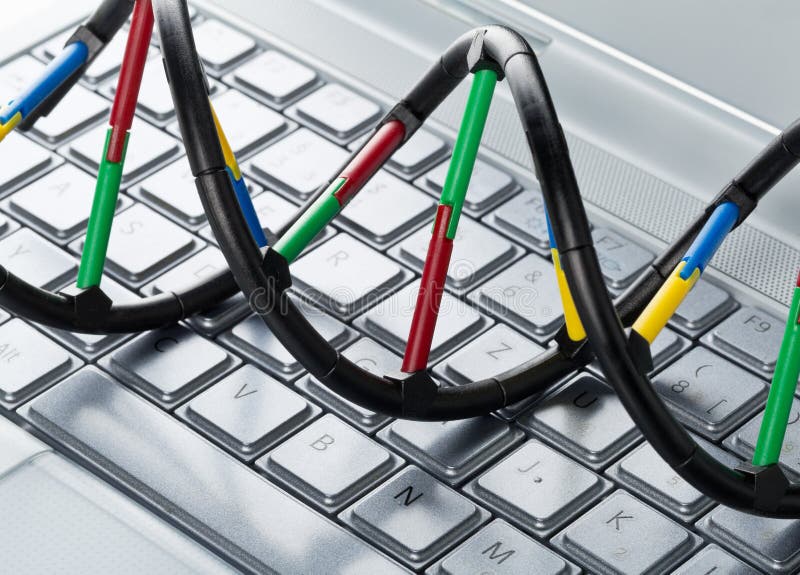 DNA Molecule Model on Computer Keyboard Stock Image - Image of ...
