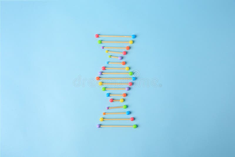 DNA Molecule Model Made of Toothpick and Colorful Beads on Light Blue ...