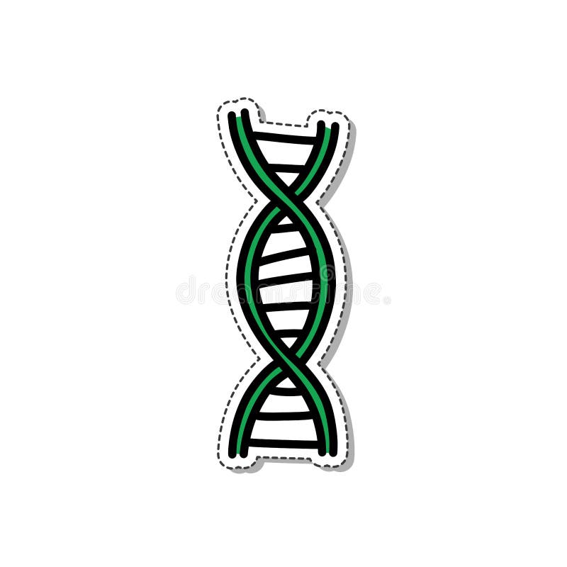 Dna Molecule Structure Doodle Sticker Icon, Vector Color Line ...