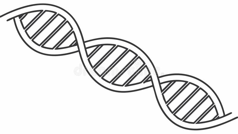 DNA Molecule Structure, Double Helix Vector Line Art, Vector Design ...