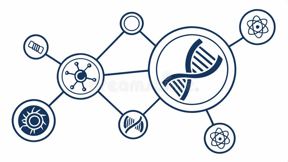 Dna Molecule Structure Vector Stock Illustrations – 57,018 Dna Molecule ...