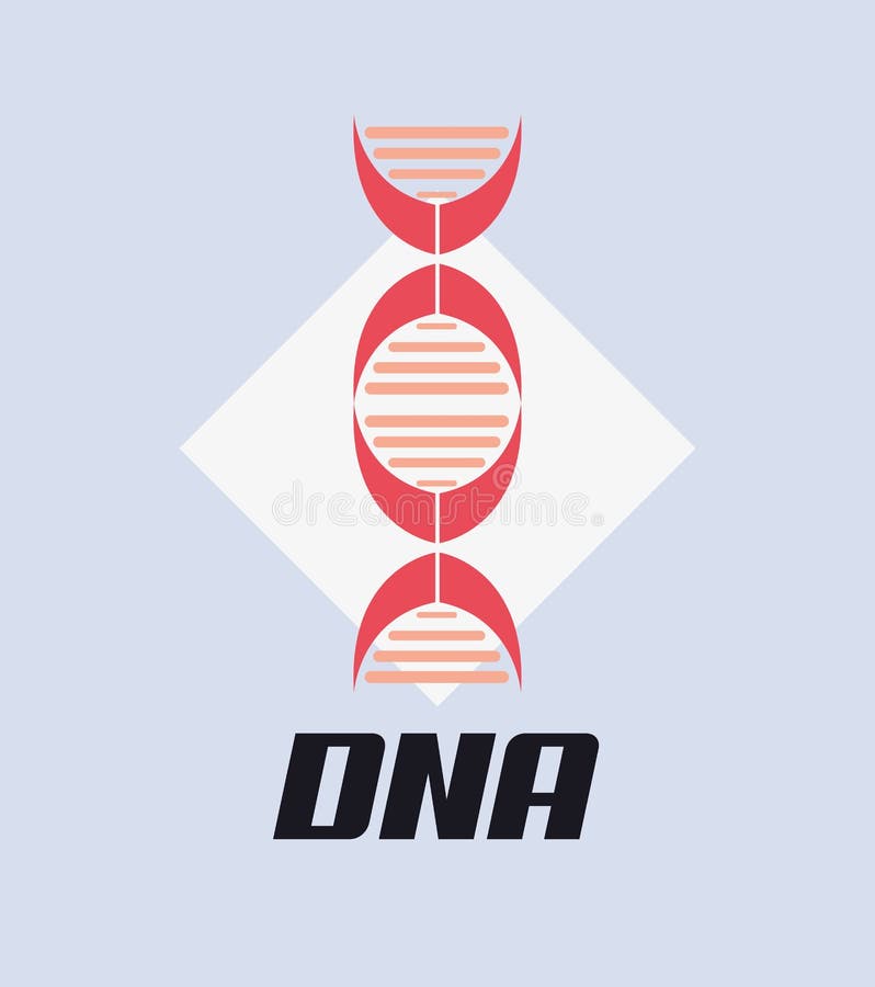 DNA molecula design stock vector. Illustration of design - 115464842