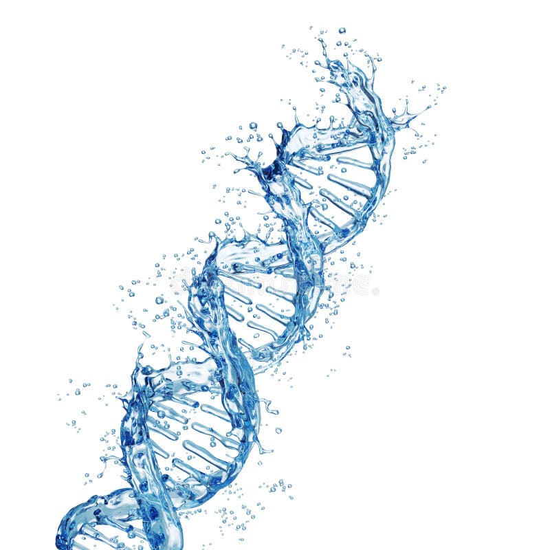 DNA Molecule Structure Isolate on White Background with Clipping Path ...